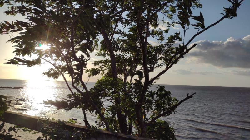 Que tal conhecer a ilha de Mosqueiro, na Região Metropolitana de Belém ...