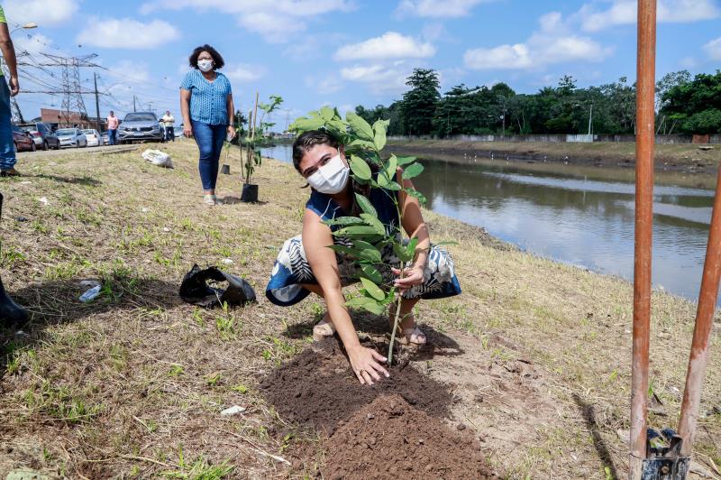 Prefeitura de Belém inicia a política de arborização da cidade às ...