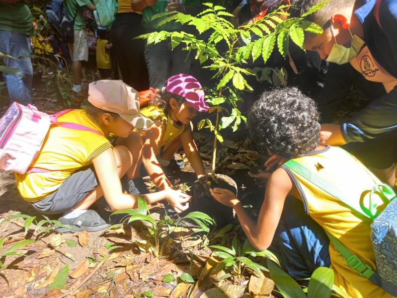 Prefeitura reafirma compromisso de arborizar Belém com plantio de ...
