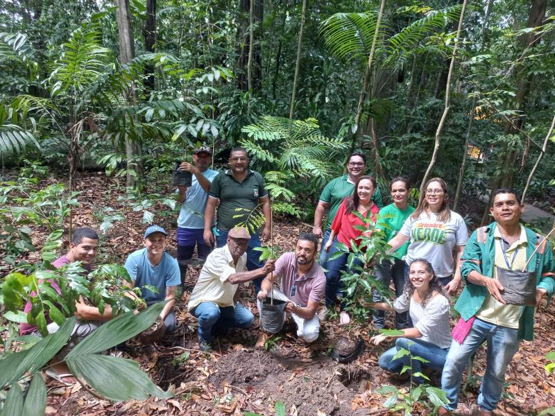 Prefeitura reafirma compromisso de arborizar Belém com plantio de ...